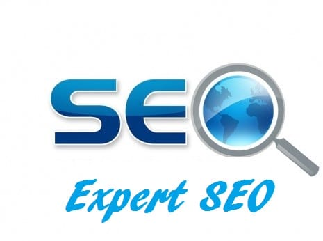Expert SEO, un véritable métier de référenceur
